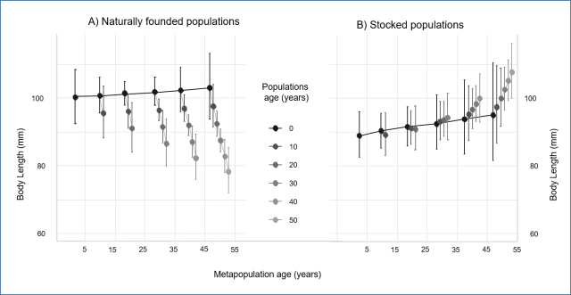 Body size evolution during a metapopulation expansion – ECOBIOP